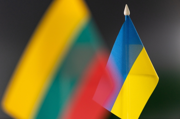 Министерство образования Литвы предлагает еще на год отложить ...